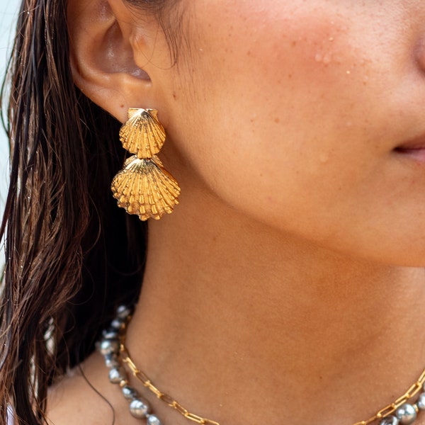 Shell Earrings - Etsy