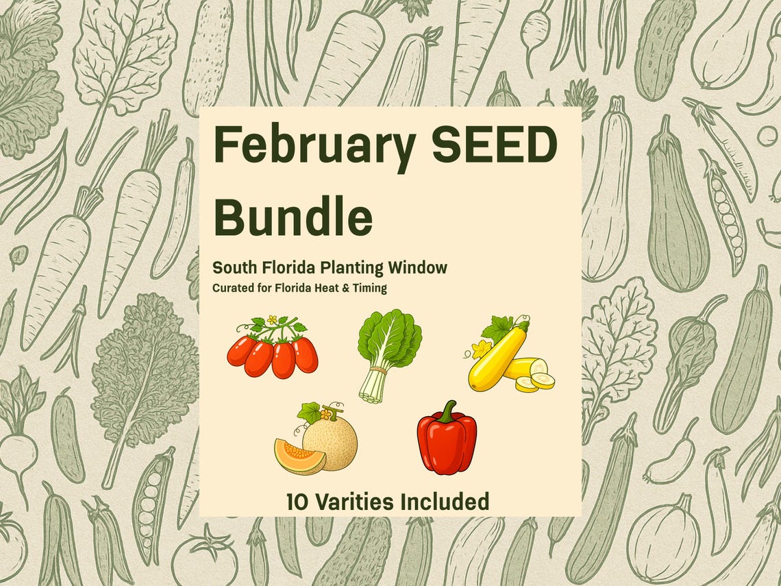 February Seed Bundle – South Florida Planting Window | Monthly Florida ...