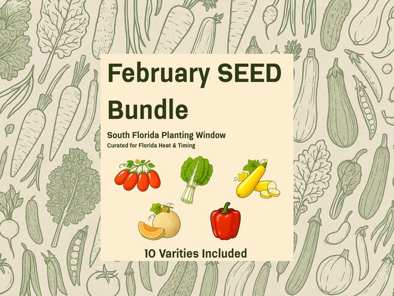 February Seed Bundle – South Florida Planting Window | Monthly Florida ...