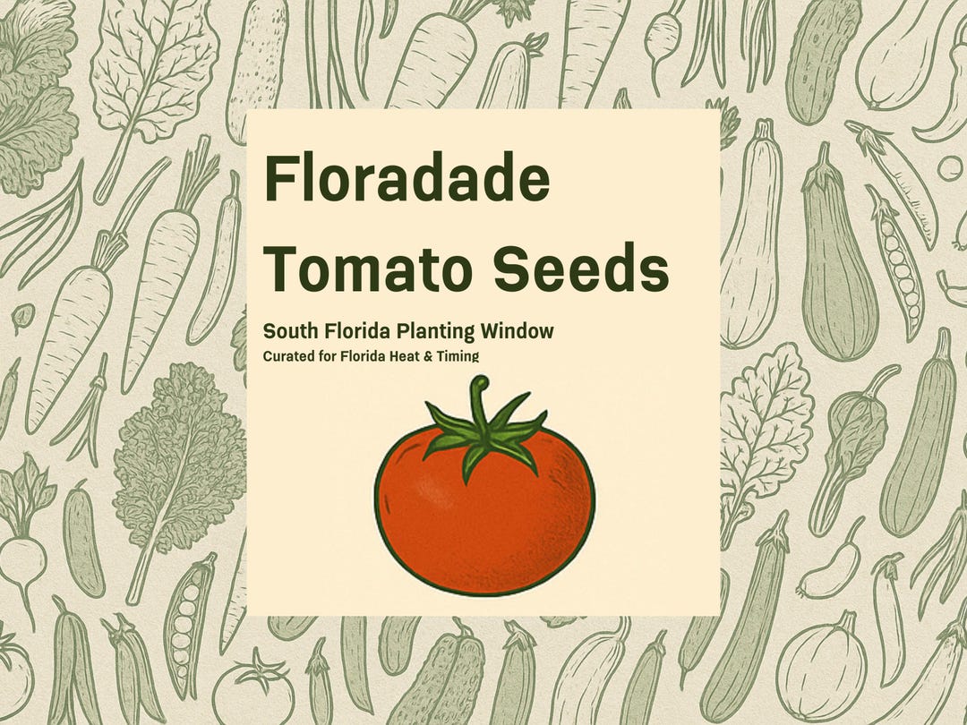 Floradade Tomato Seeds – Heat Tolerant Variety for Florida Gardens - Etsy