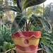 Hand Painted Desert Sun and Moon Flower Pot/plant Pot/boho Decor - Etsy