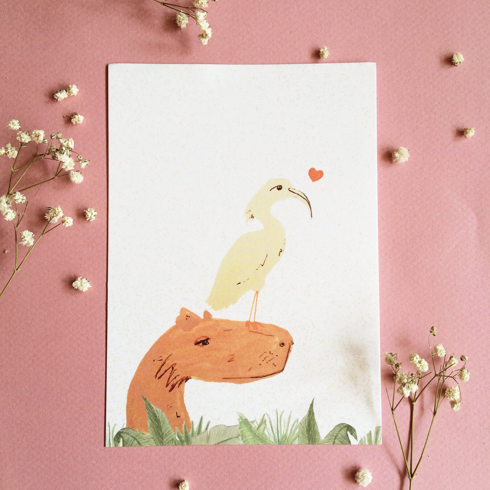 Set of 6 Cute Capybara Cards for Birthday / Love or Birth of | Etsy