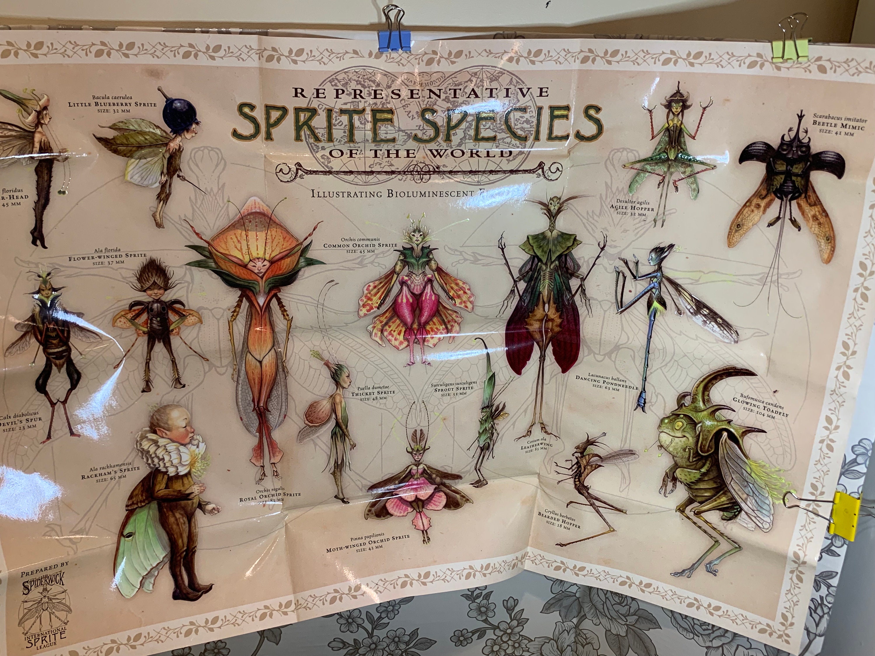 Spiderwick Sprites