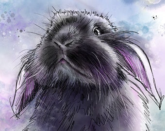 Lop drawing rabbit | Etsy