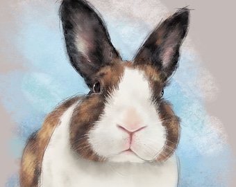 Dutch Bunny Rabbit - Etsy
