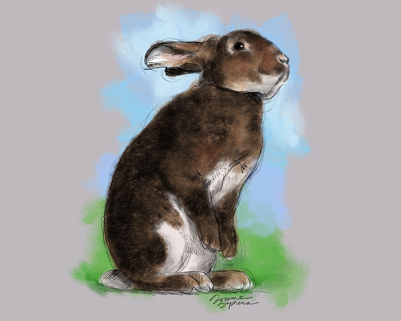 Rex or Mini Rex Bunny Rabbit Pastel Art Print Rainbow Bridge - Etsy