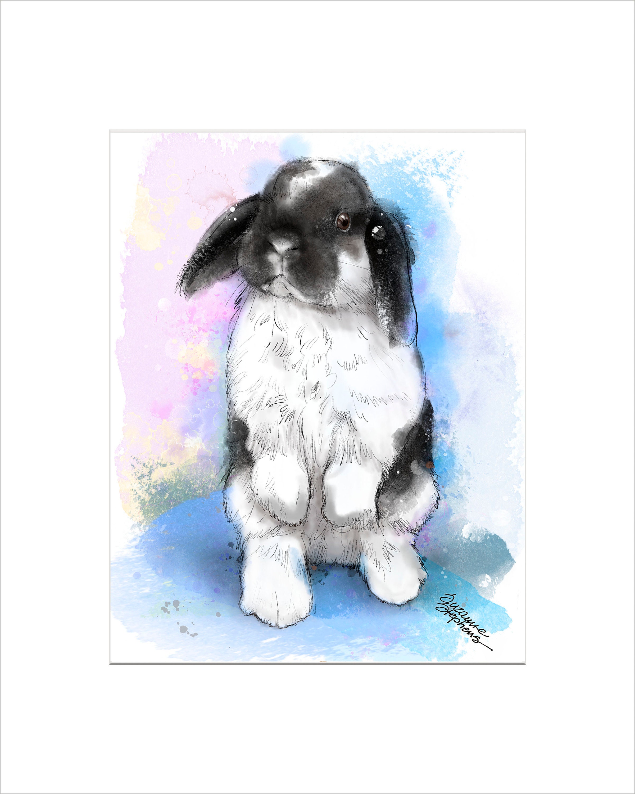 Holland Lop Bunny Rabbit Watercolor Art Print Pet Themed | Etsy