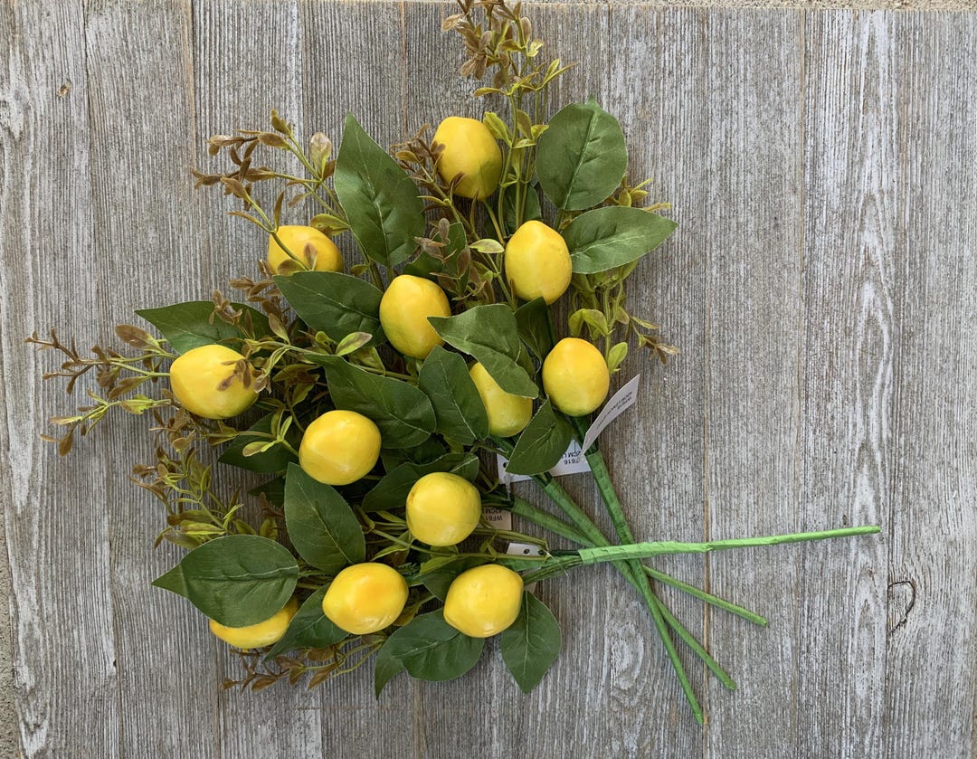 Lemon Spray With Leaves, Lemon Sprig Spray, Lemon Branch Twig ...