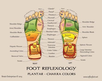 Foot Reflexology Chart Poster Size 24 X 18 - Etsy