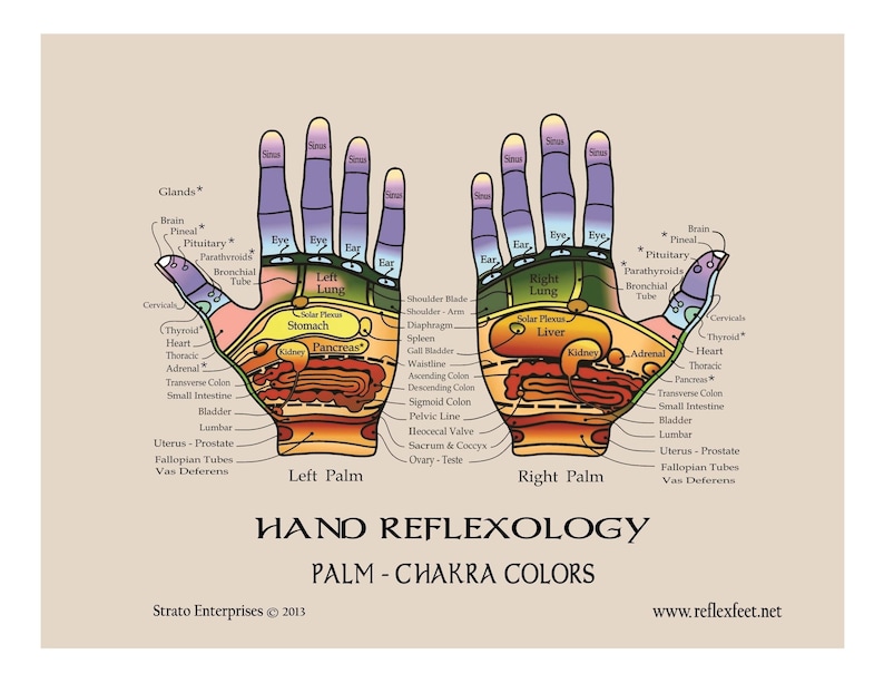 Reflexology Hand Chart - Etsy