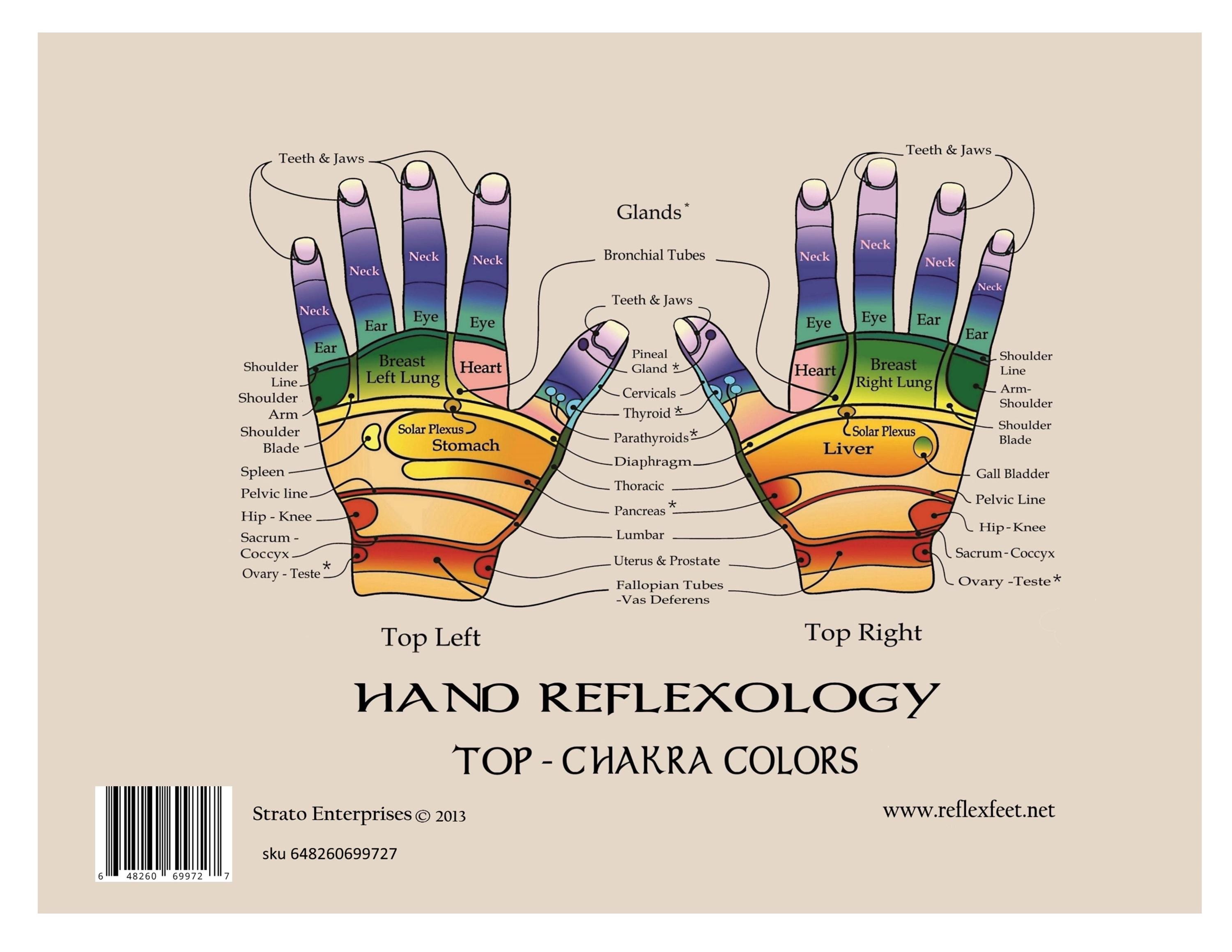Reflexology Hand Chart - Etsy