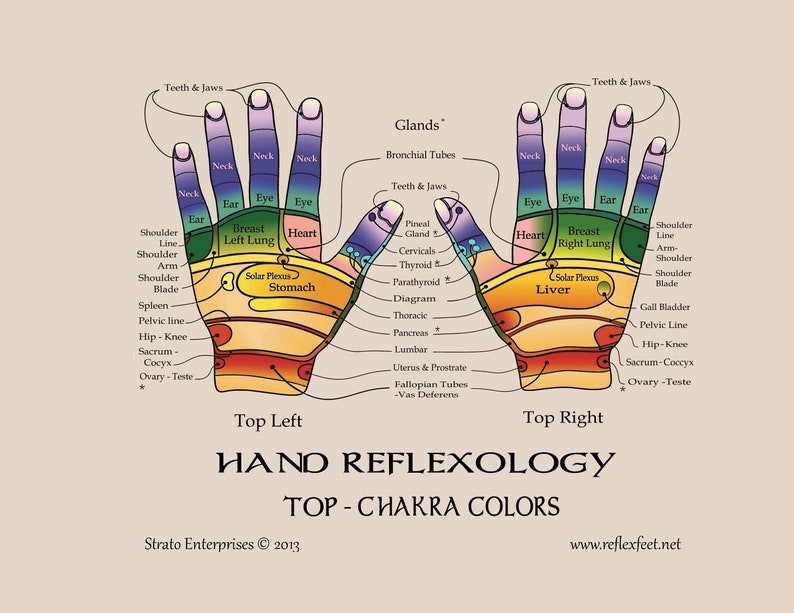 1 Set of Reflexology Feet and Hand Charts - Etsy
