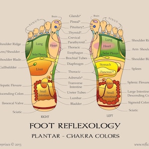 1 Set of Reflexology Feet and Hand Charts - Etsy