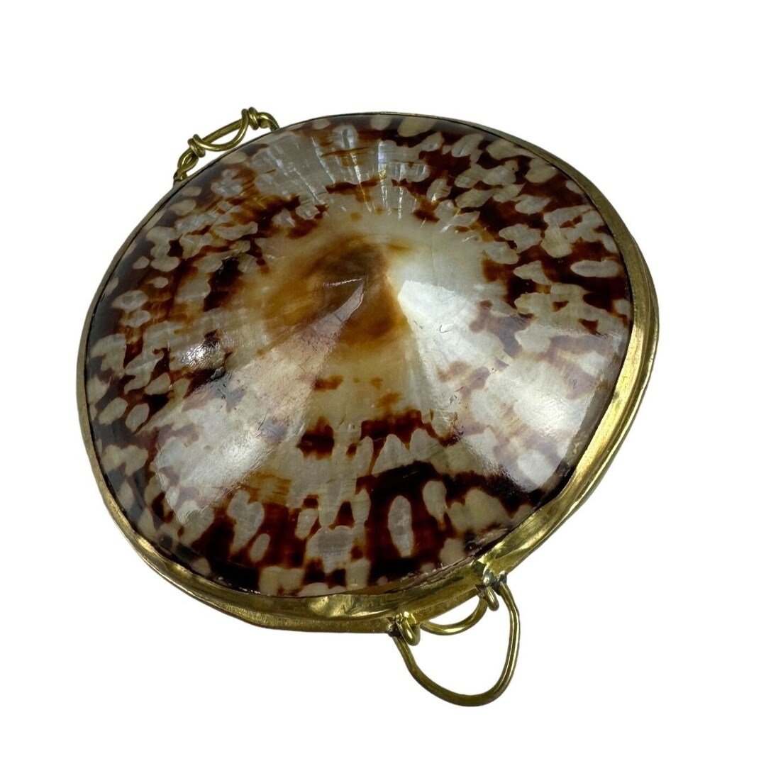 Vintage Brown Blister Shell Trinket Box 2 1/2" - Etsy