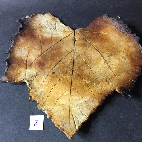 Ceramic Wall Hanging Ceramic Leaf Ceramic Vine Leaf Ceramic - Etsy