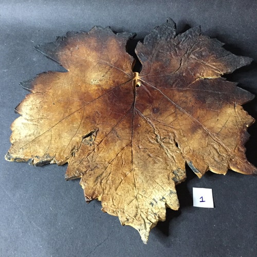 Ceramic Wall Hanging Ceramic Leaf Ceramic Vine Leaf Ceramic - Etsy