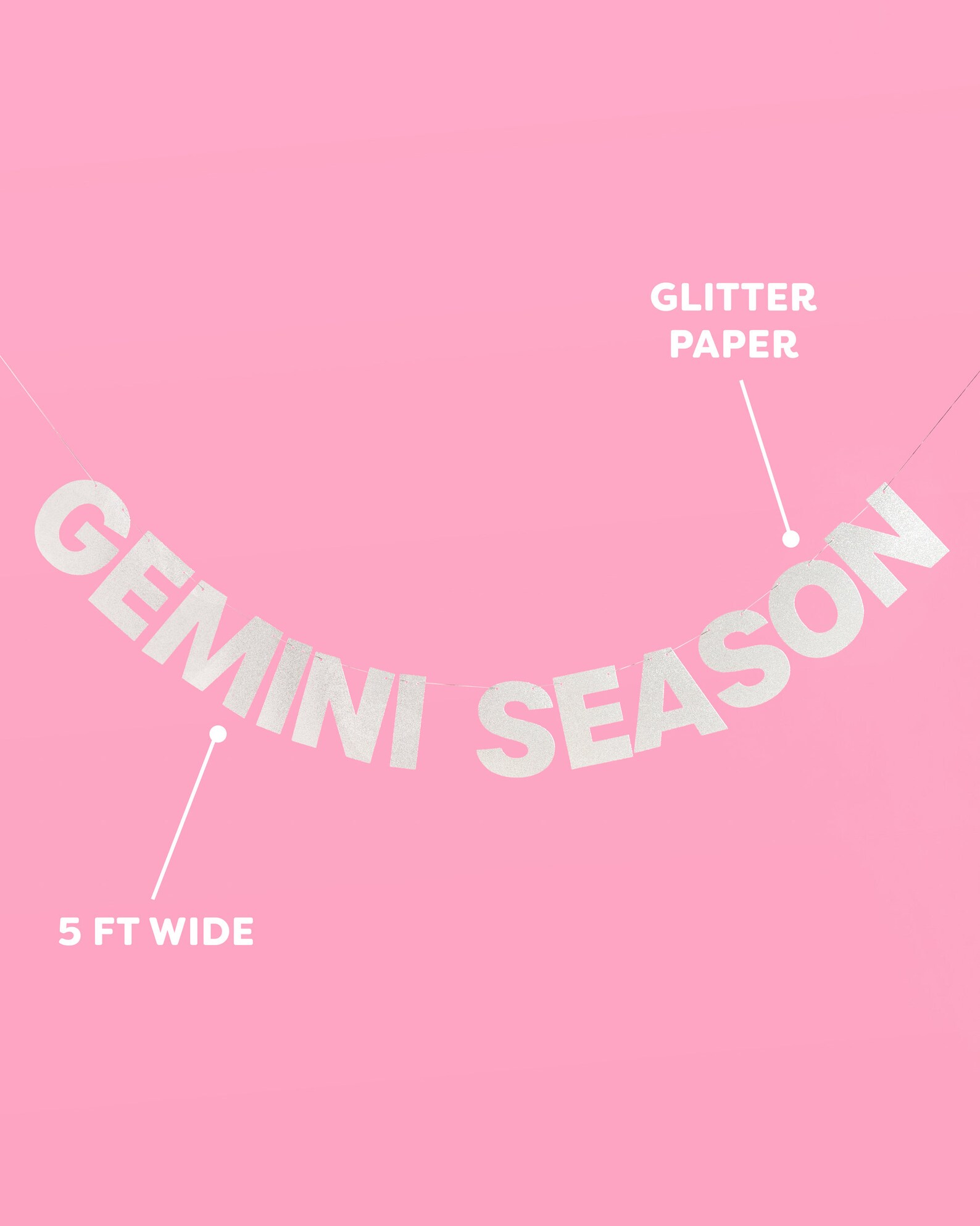 Gemini Season Birthday Party Glitter Banner 5 Ft. Zodiac | Etsy