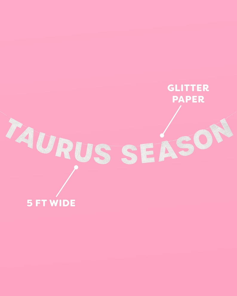 Xo, Fetti Taurus Season Birthday Party Silver Glitter Banner - 5 Ft ...