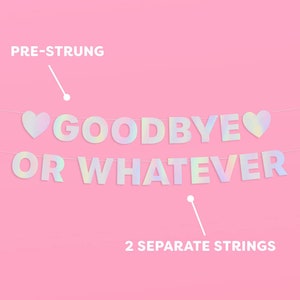 Xo, Fetti Goodbye or Whatever Retirement Banner 5 Ft, Iridescent | Retirement Party Decoration ...
