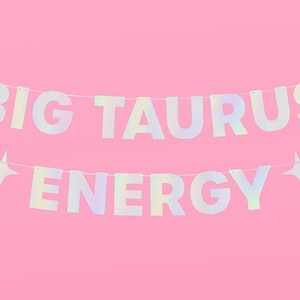 Xo, Fetti Big Taurus Energy Birthday Party Iridescent Foil Banner 5 Ft ...