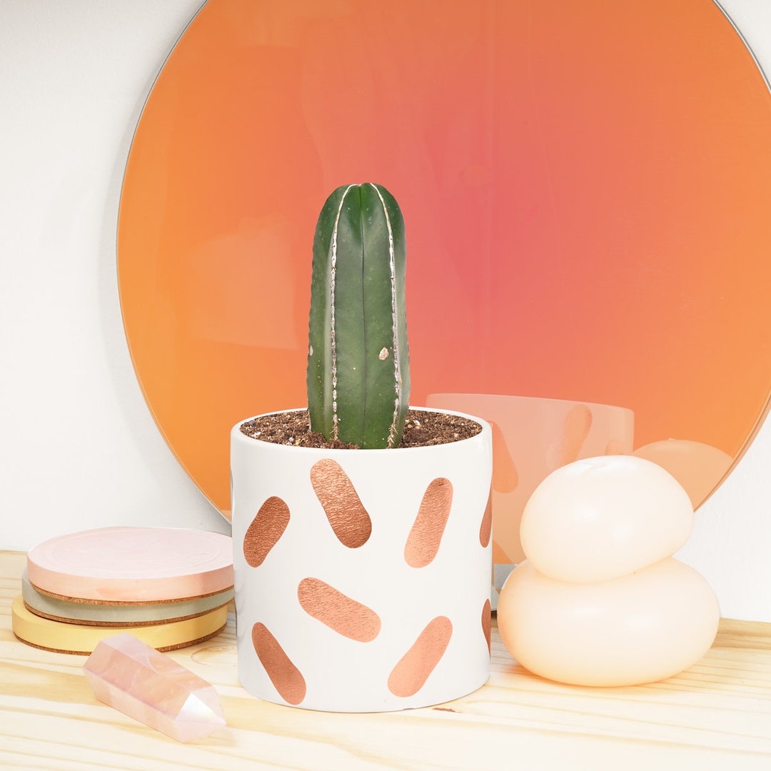 Indoor Planter - 4" White and Rose Gold Ceramic Pot - Drainage Hole ...