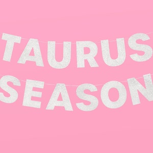 Xo, Fetti Taurus Season Birthday Party Silver Glitter Banner - 5 Ft ...