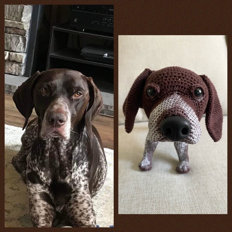 German Short-haired Pointer (customized) - Etsy