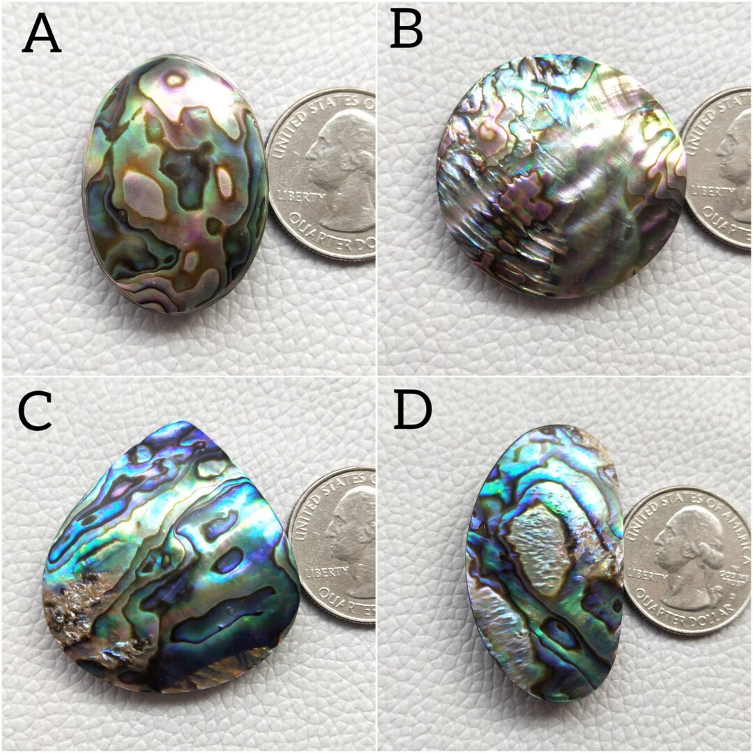 Abalone Shell Gemstone, Rare Abalone Shell, AAA Abalone Shell, Loose ...