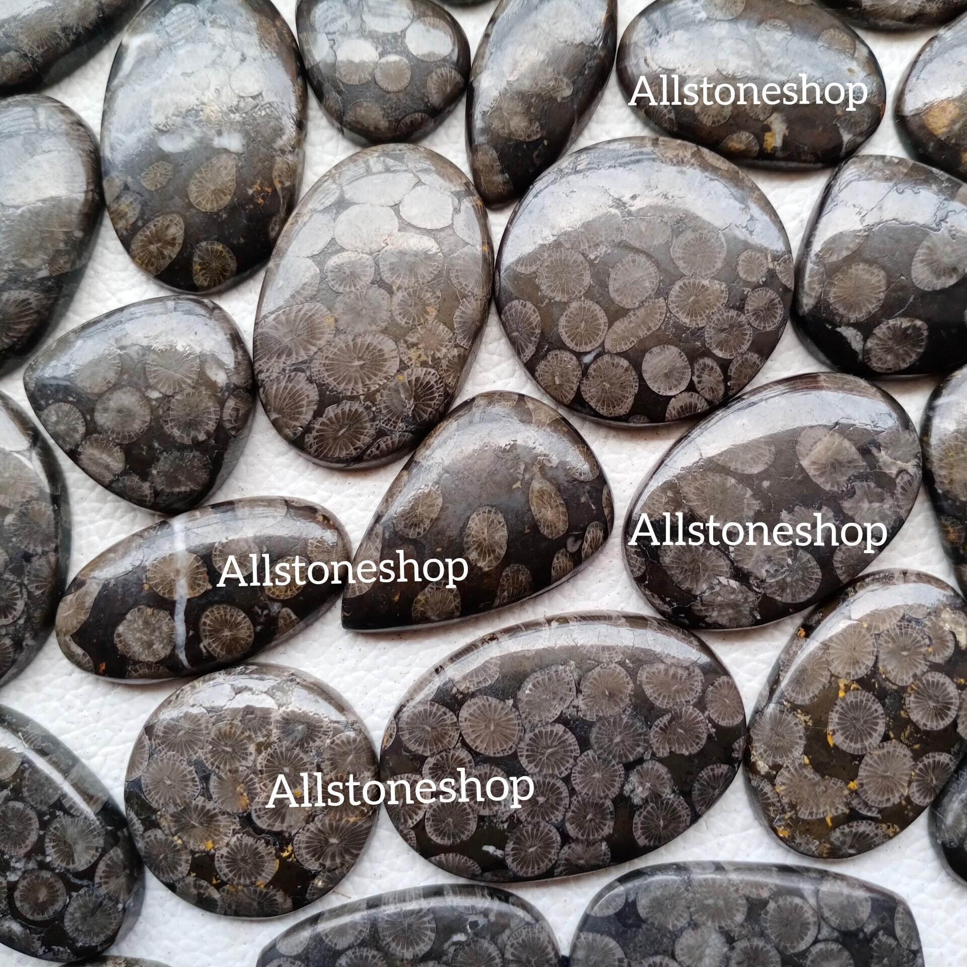 Fossile nero Corallo fossile Lotto di corallo fossile Massa - Etsy Italia