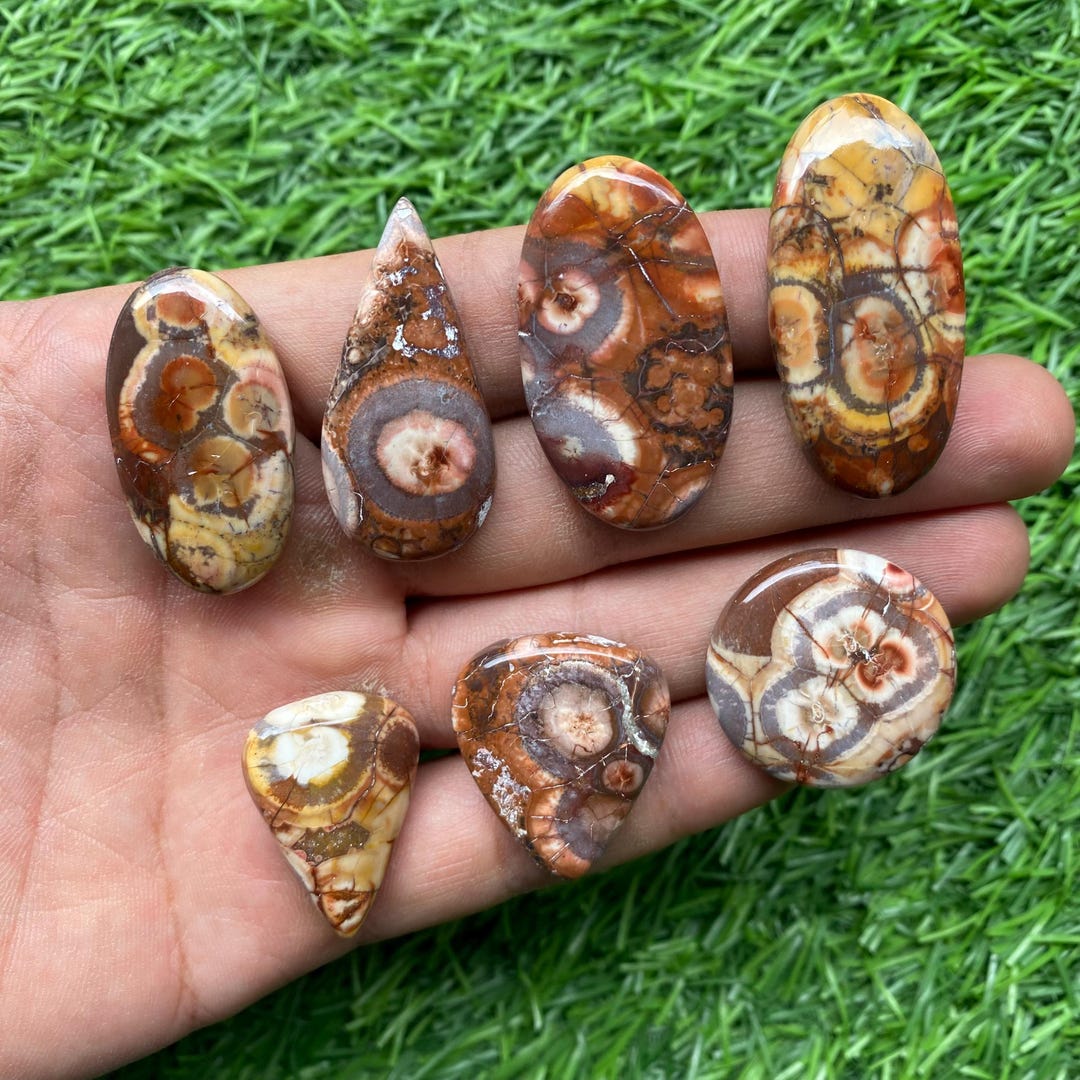 Birds Eye Jasper, AAA Birds Eye, Birds Eye Gemstone, Birds Eye Cab ...