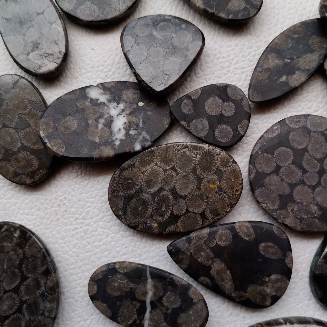 Fossile nero Corallo fossile Lotto di corallo fossile Massa - Etsy Italia