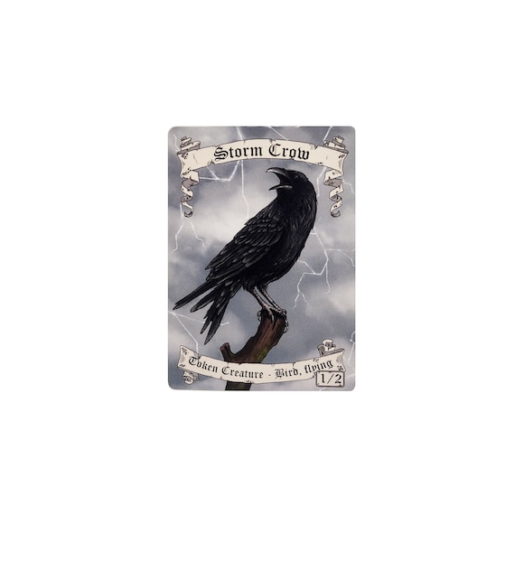 Magic the Gathering Storm Crow 1/2 Token - Etsy