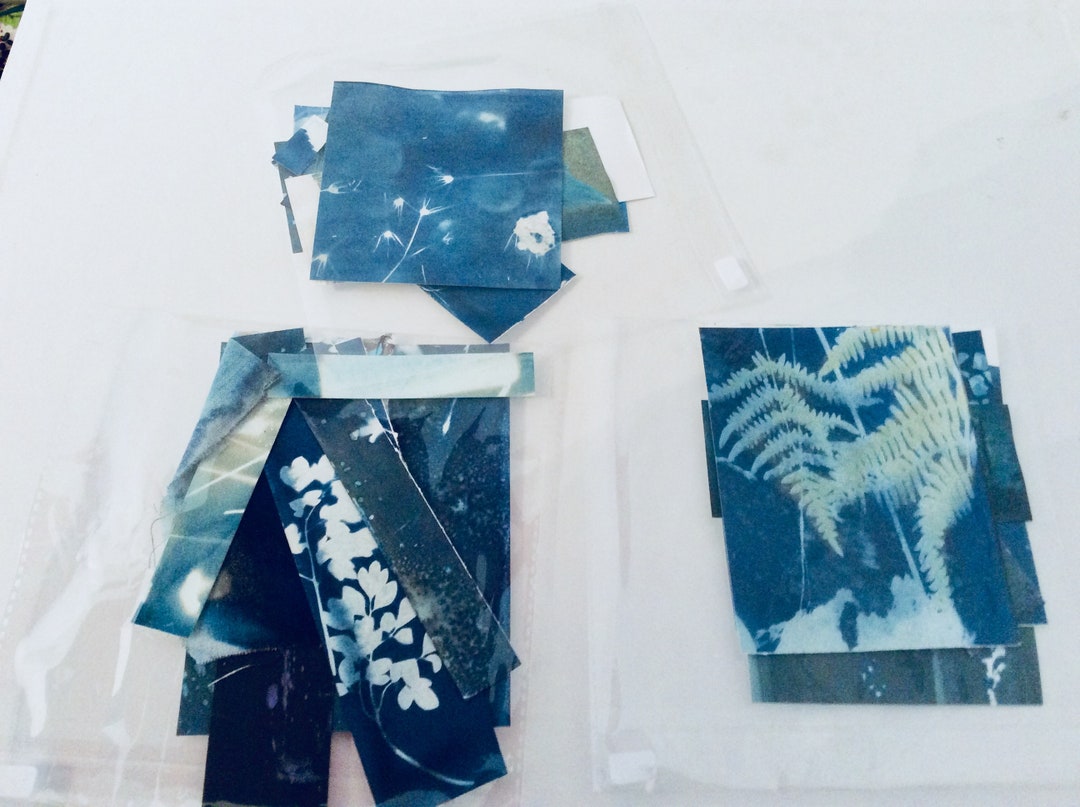Cyanotype and Acrylic Print off Cuts for Crafters to Use in ...