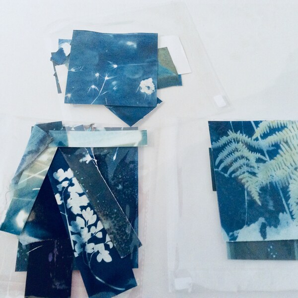Cyanotype - Etsy UK