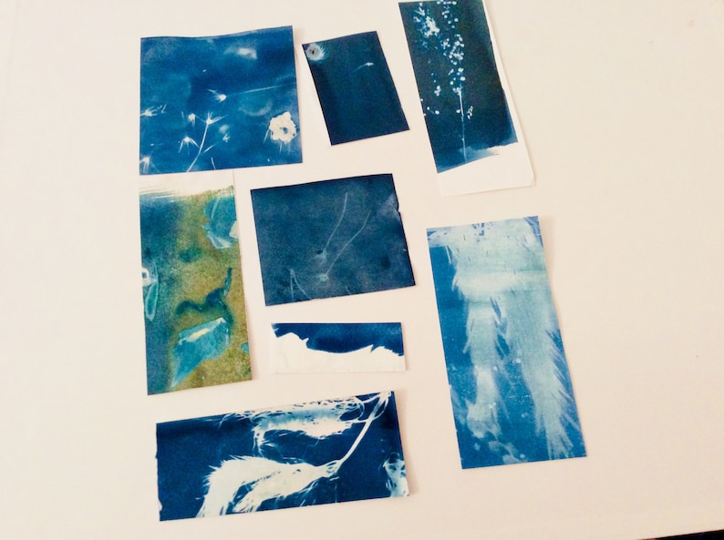 Cyanotype and Acrylic Print off Cuts for Crafters to Use in ...