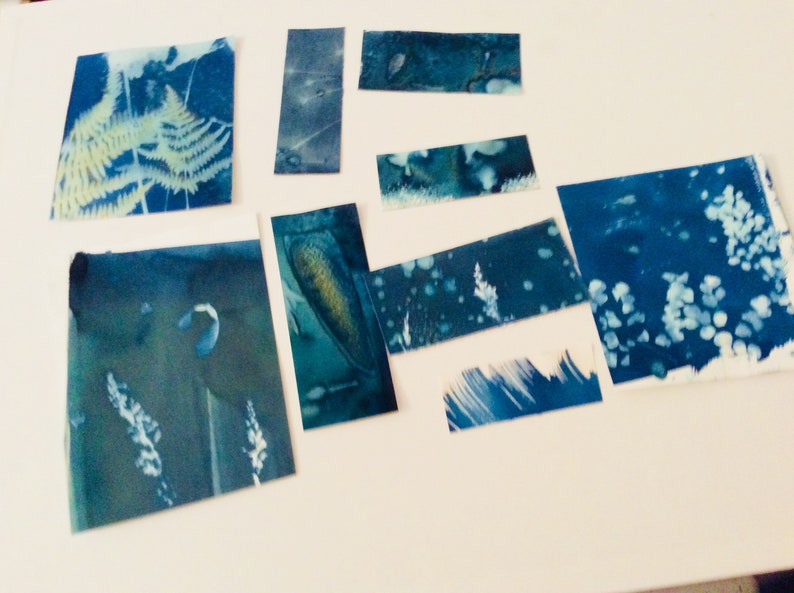 Cyanotype and Acrylic Print off Cuts for Crafters to Use in ...