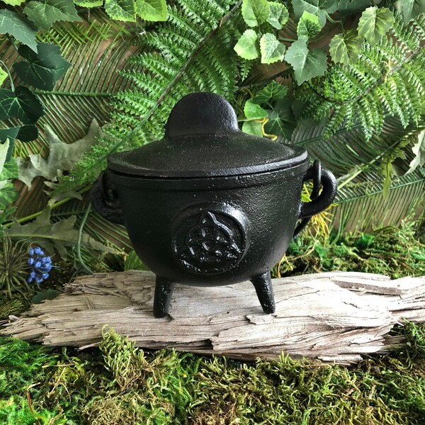 Black Cauldron - Etsy