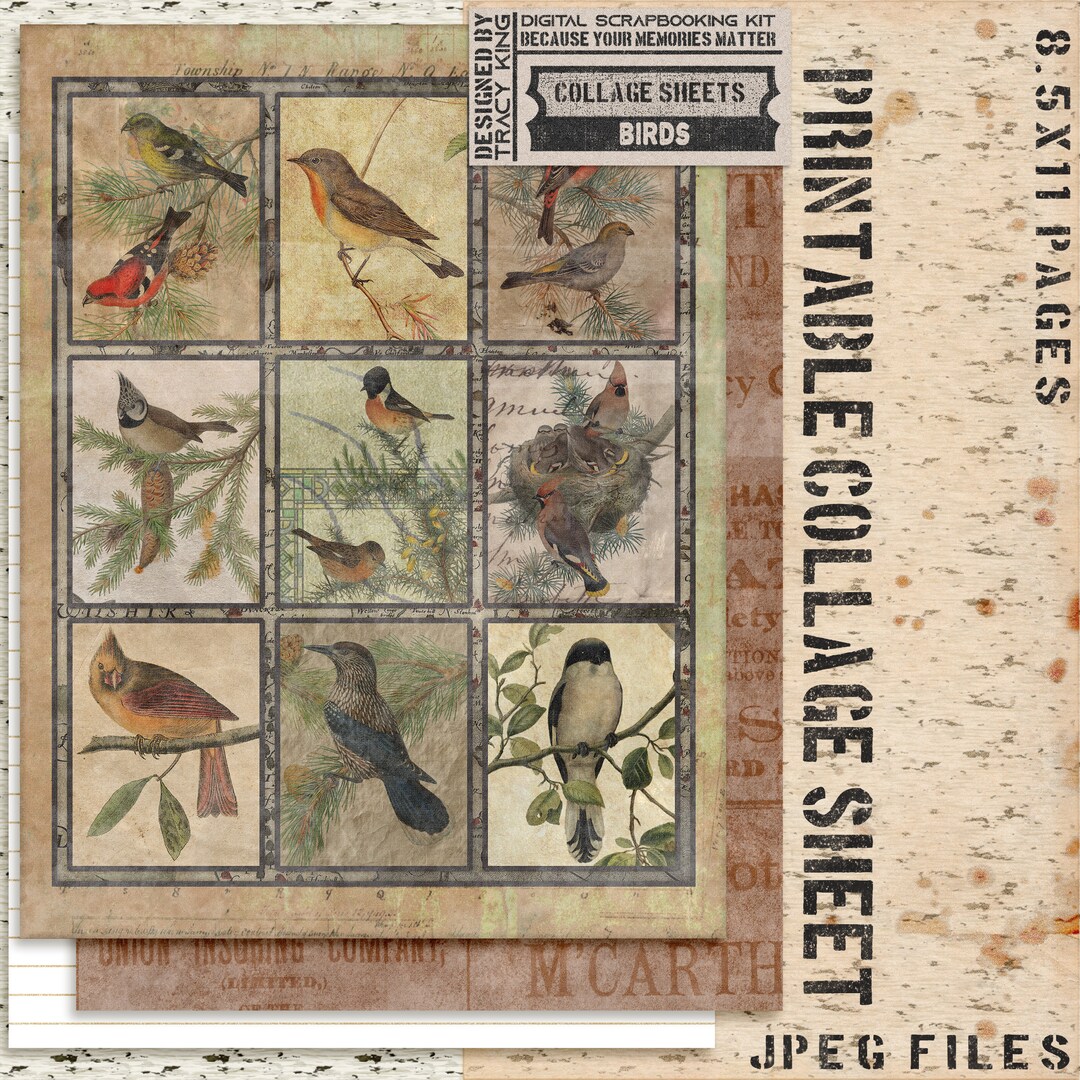 Printable Collage Sheet and Extras Birds Pattern and Lines - Etsy