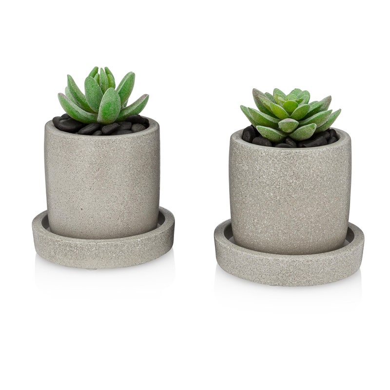 Succulent Pots - Etsy