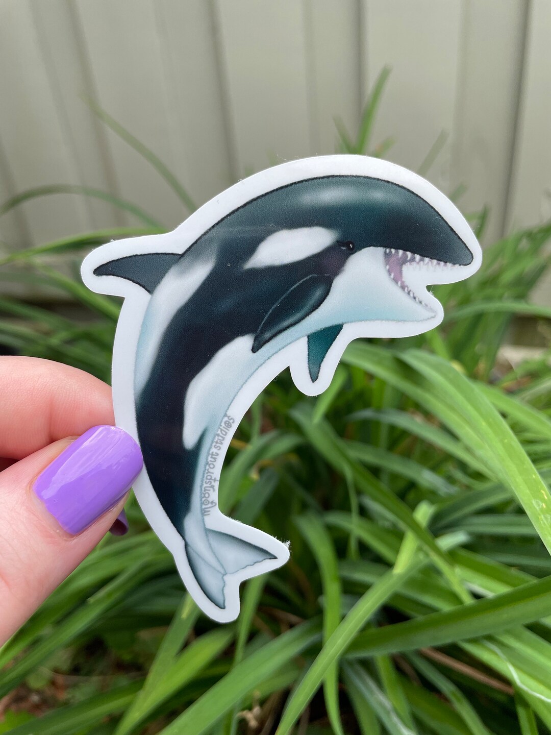 Orca Whale Waterproof Sticker for Water Bottle Laptop Journal Body ...