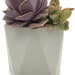 Tall Pentagonal Antiprism Pot | Geometric Concrete Planter | Cement ...