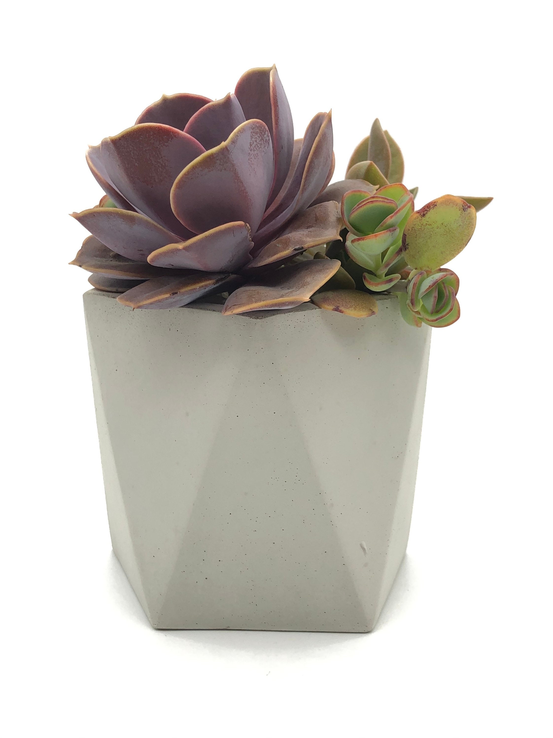 Tall Pentagonal Antiprism Pot | Geometric Concrete Planter | Cement ...
