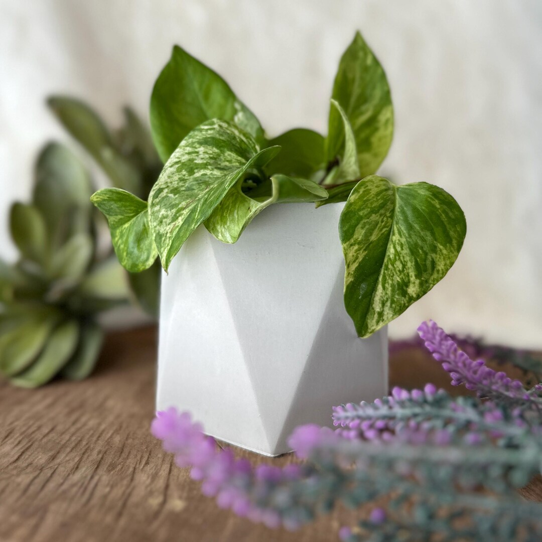 Tall Pentagonal Antiprism Pot | Geometric Concrete Planter | Cement ...
