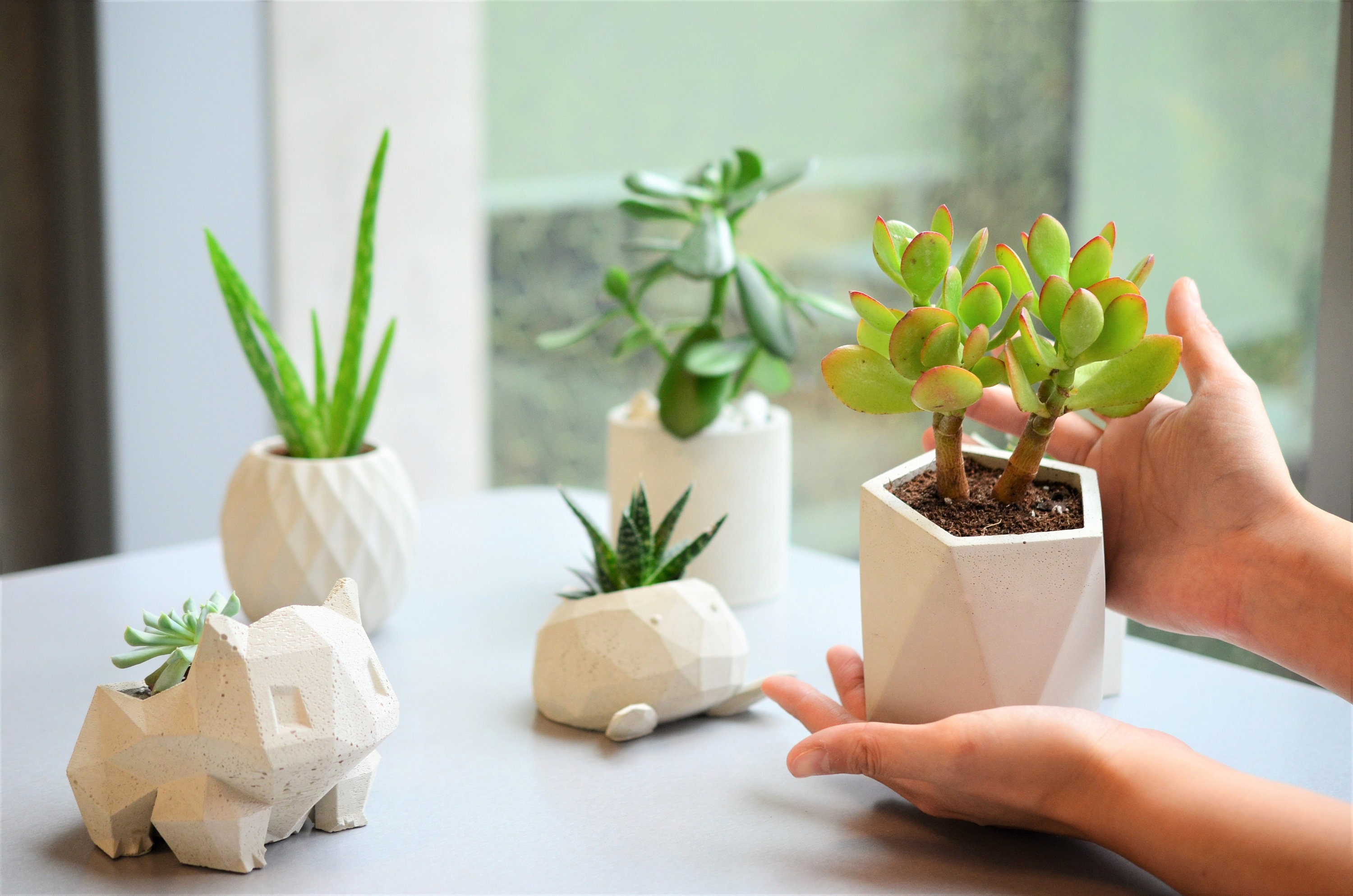 Tall Pentagonal Antiprism Pot | Geometric Concrete Planter | Cement ...