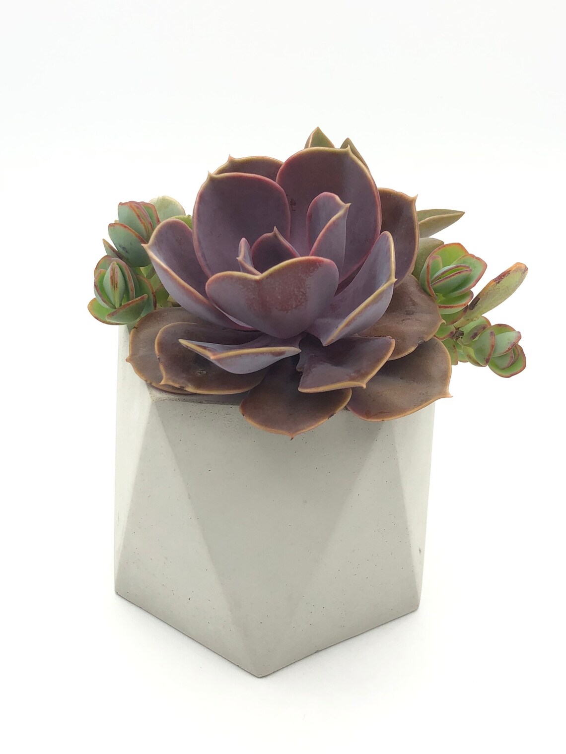 Tall Pentagonal Antiprism Pot | Geometric Concrete Planter | Cement ...