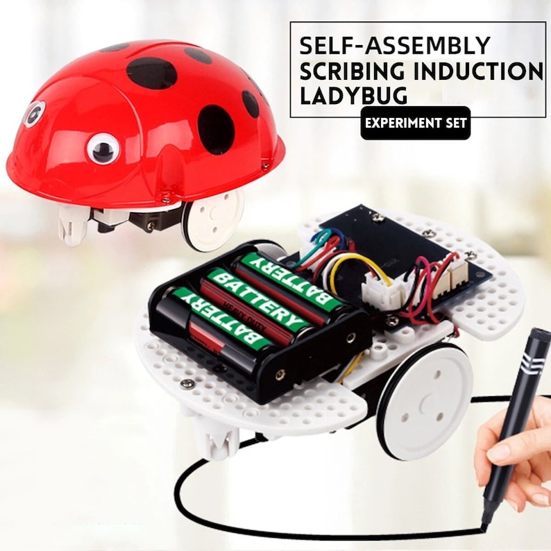 DIY Build a Ladybug Induction Line Robot Stem Kit Educational STEM ...