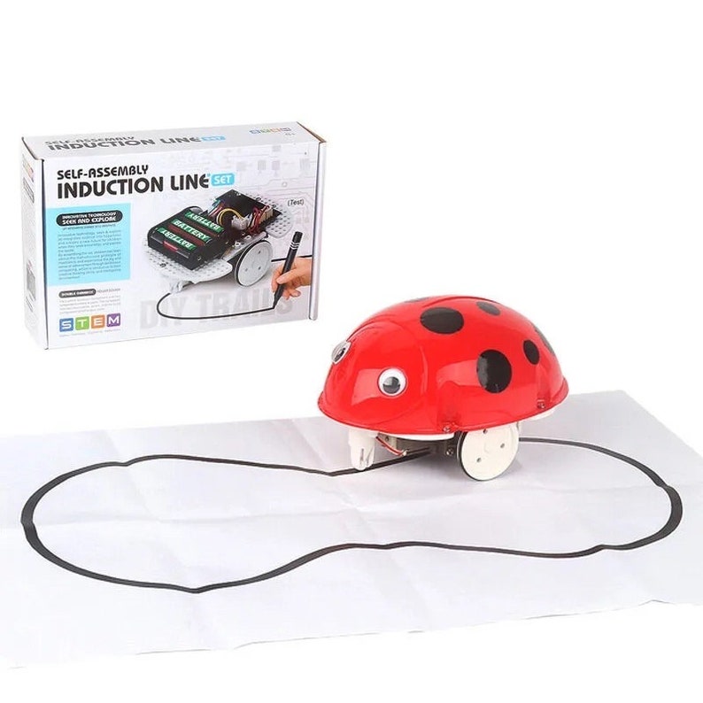 DIY Build a Ladybug Induction Line Robot Stem Kit • Educational STEM ...