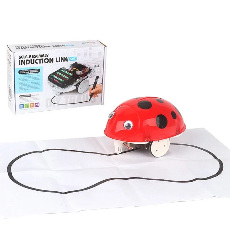 DIY Build a Ladybug Induction Line Robot Stem Kit • Educational STEM ...