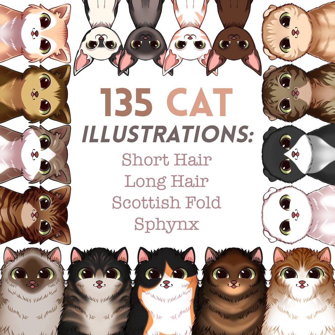 Cute Kitten Illustrations, Lots of Cat Pictures, Instant Download Cat ...