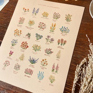 California Native Wildflowers Art Print Painting Wall Decor - Etsy